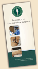 Home | The Association of Extremity Nerve Surgeons
